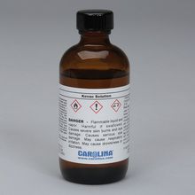 Kovac's Reagent, Laboratory Grade, 100 mL | Carolina Biological Supply
