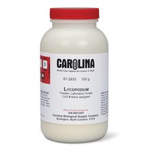 Lycopodium Powder | Carolina Biological Supply