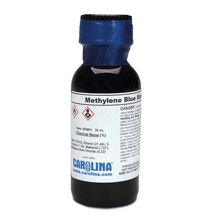 Methylene Blue Staining Solution, 0.2% in 25% Ethanol, Laboratory Grade ...