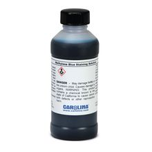 Methylene Blue Staining Solution, 0.2% in 25% Ethanol, Laboratory Grade ...
