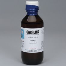 Phenol Liquefied, Laboratory Grade, 500 mL | Carolina Biological Supply