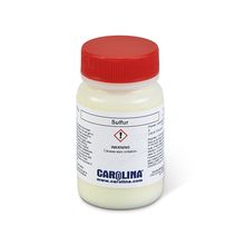 Sulfur, Sublimed Powder, Laboratory Grade, 50 g | Carolina Biological ...