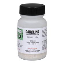 Urease, Powder, Reagent Grade, 10 g | Carolina Biological Supply