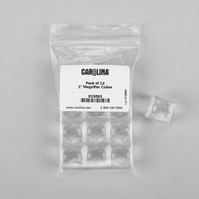 Cube, Magnifier, 1", Pack of 12 | Carolina Biological Supply