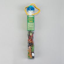 Rainforest TOOB® | Carolina.com