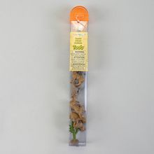 Desert TOOB® | Carolina Biological Supply