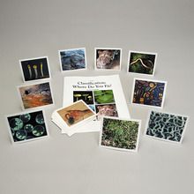 Classification: Where Do You Fit? Bio Cards | Carolina Biological Supply
