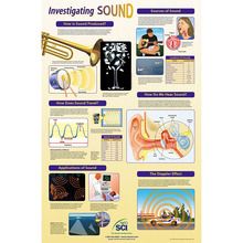 Investigating Sound Poster | Carolina.com