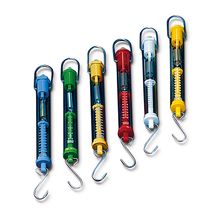 Color-Coded Spring Scales | Carolina Biological Supply