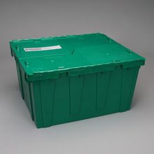 Container, Storage, Large, Green | Carolina Biological Supply