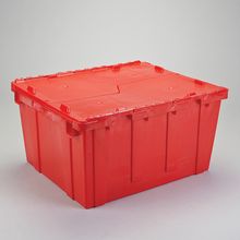 Container, Storage, Large, Red | Carolina Biological Supply