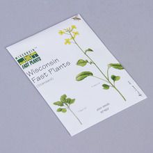 Seed, Wisconsin Fast Plants®, Pack of 200 | Carolina Biological Supply