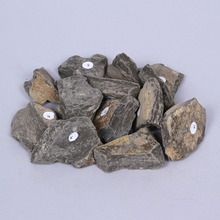 Shale Specimen (labeled "5"), Pack of 16 | Carolina Biological Supply