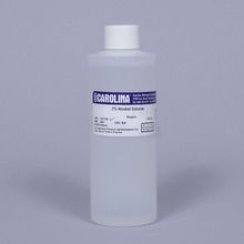 Solution, Alcohol, 250 mL | Carolina Biological Supply