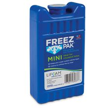 Lunch Cooler Ice Pack | Carolina Biological Supply