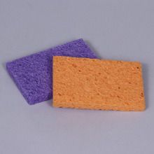 Sponge, Pack of 4 | Carolina Biological Supply