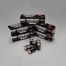 Batteries, D-Cell, Pack of 60 | Carolina Biological Supply