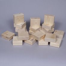 Wood Block, Pack of 20 | Carolina Biological Supply
