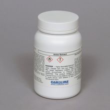 Anise Extract, 1 oz. | Carolina Biological Supply