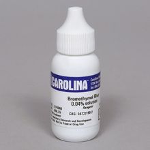 Bromthymol Blue Stock Solution, 0.04%, 15 mL | Carolina Biological Supply