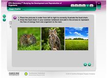 STC-Secondary™: Studying the Development and Reproduction of Organisms ...