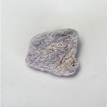 Gray Pumice, Pack of 10 | Carolina Biological Supply