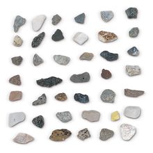 Washington School Student Rock Collection | Carolina Biological Supply