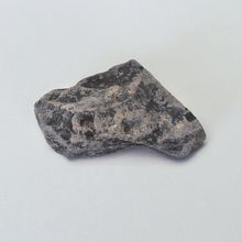 Gray Shale (pack/10) | Carolina Biological Supply