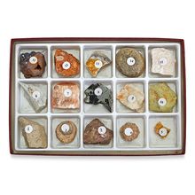 Crystalline Aggregate Collection | Carolina Biological Supply