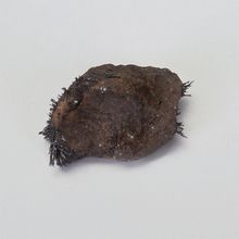 Lodestone Magnetite (pack/10) | Carolina Biological Supply