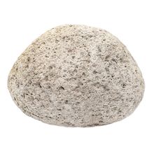Pumice Specimen, Hand Sample | Carolina Biological Supply