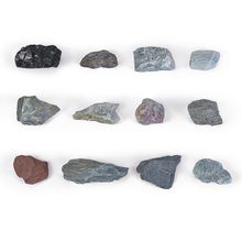 Carolina® Metamorphic Rock Set | Carolina Biological Supply