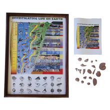 Investigating Life on Earth Set | Carolina Biological Supply