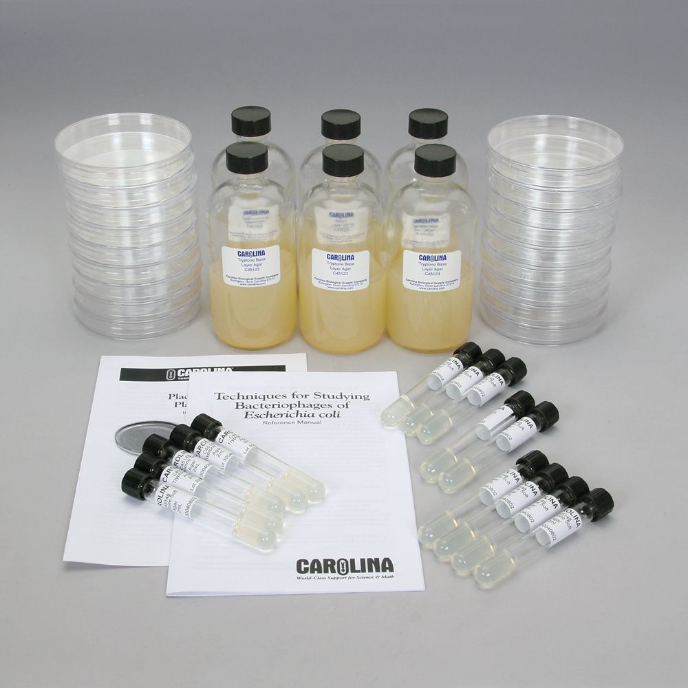 Plaque Assay Plating Set | Carolina.com