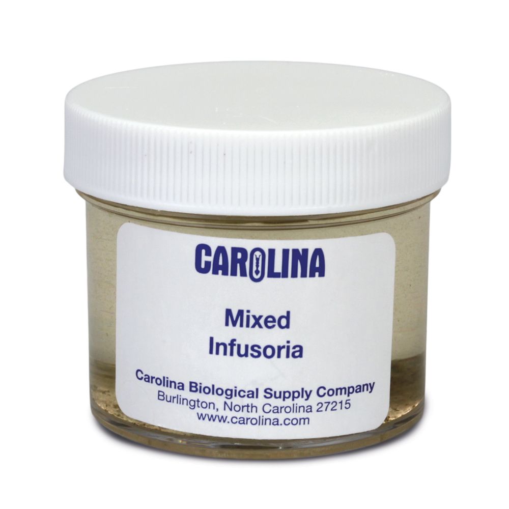 Infusoria Mixture, Living | Carolina Biological Supply