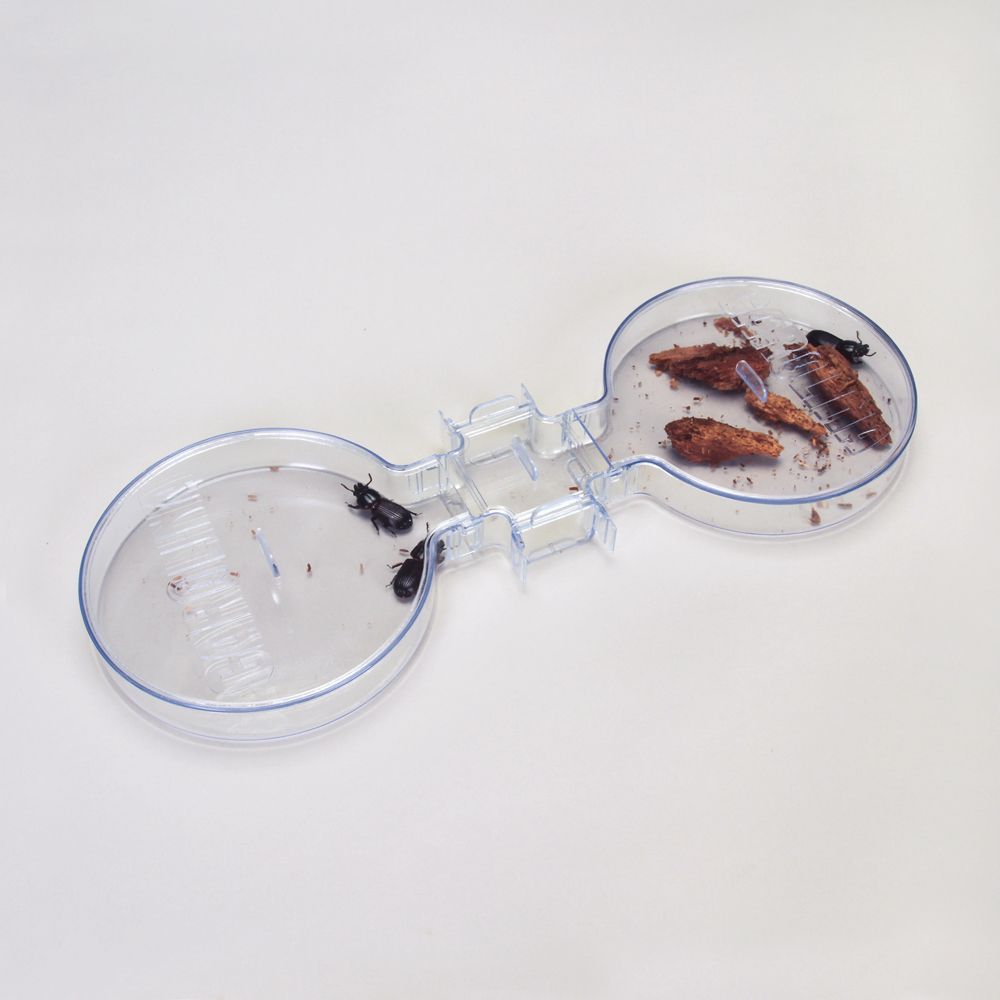 Carolina® Large Choice Chamber Kit | Carolina Biological Supply