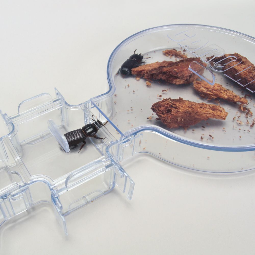 Carolina® Large Choice Chamber Kit | Carolina Biological Supply