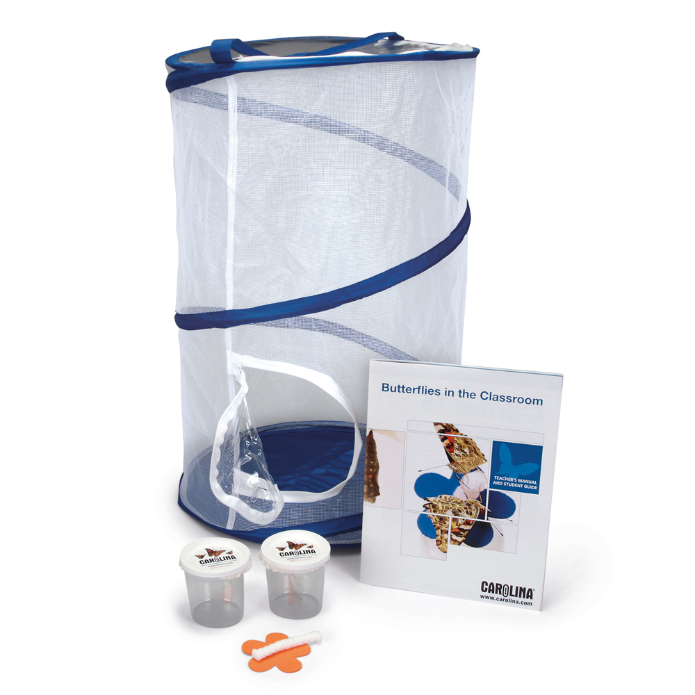 Butterflies in the Classroom Demo Kit (with voucher) | Carolina ...