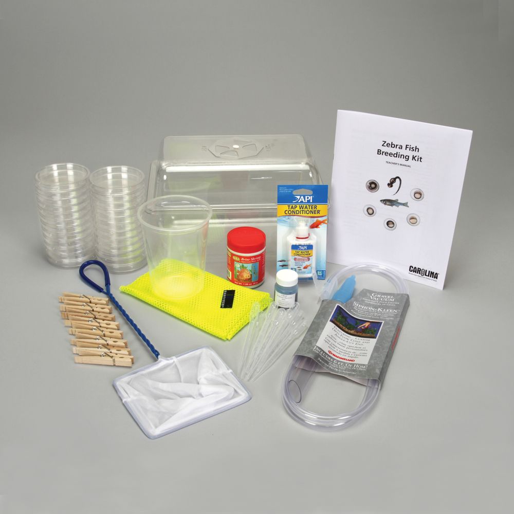 Carolina® Zebra Fish Breeding Kits | Carolina Biological Supply