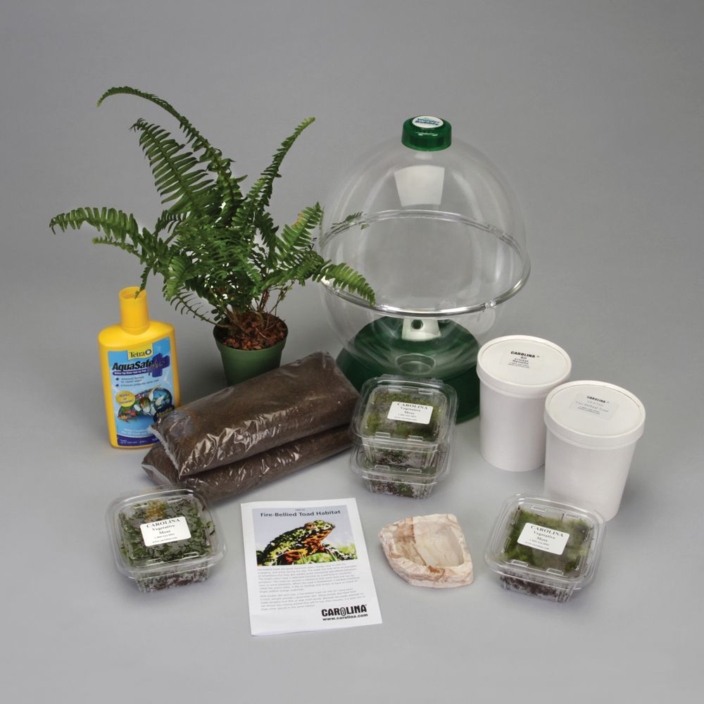 Fire-Bellied Toad Habitat Kit | Carolina Biological Supply