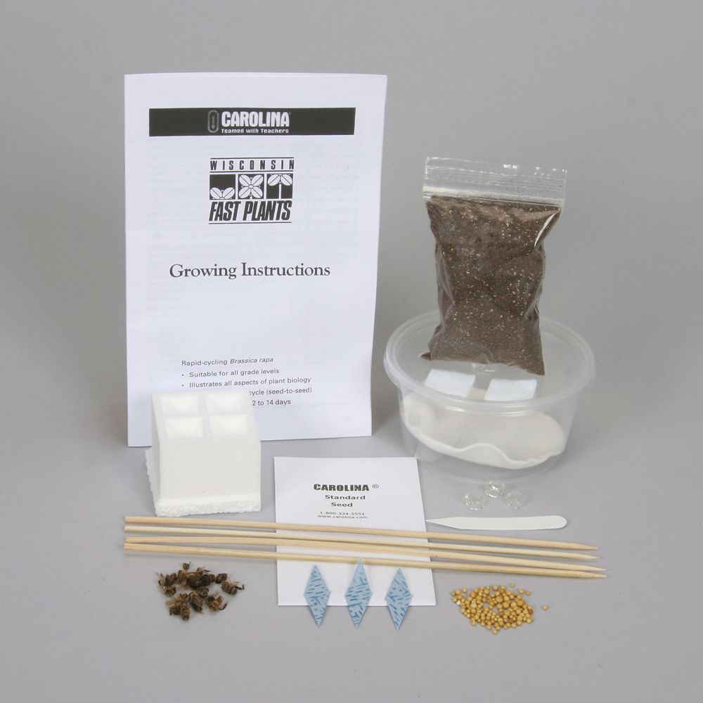 Wisconsin Fast Plants® Trial-Sized Get Acquainted Kit | Carolina.com