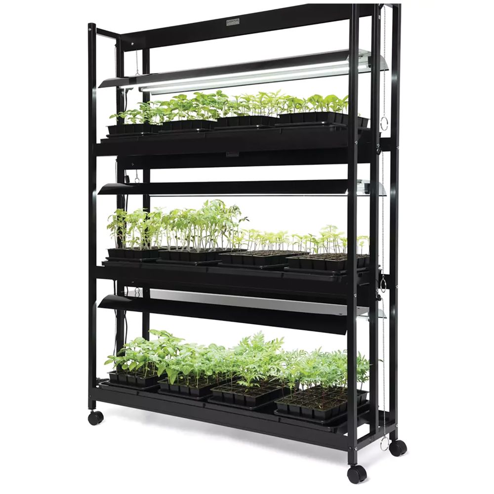 LED Plant Growth Cart, Large, 3-Tier | Carolina Biological Supply