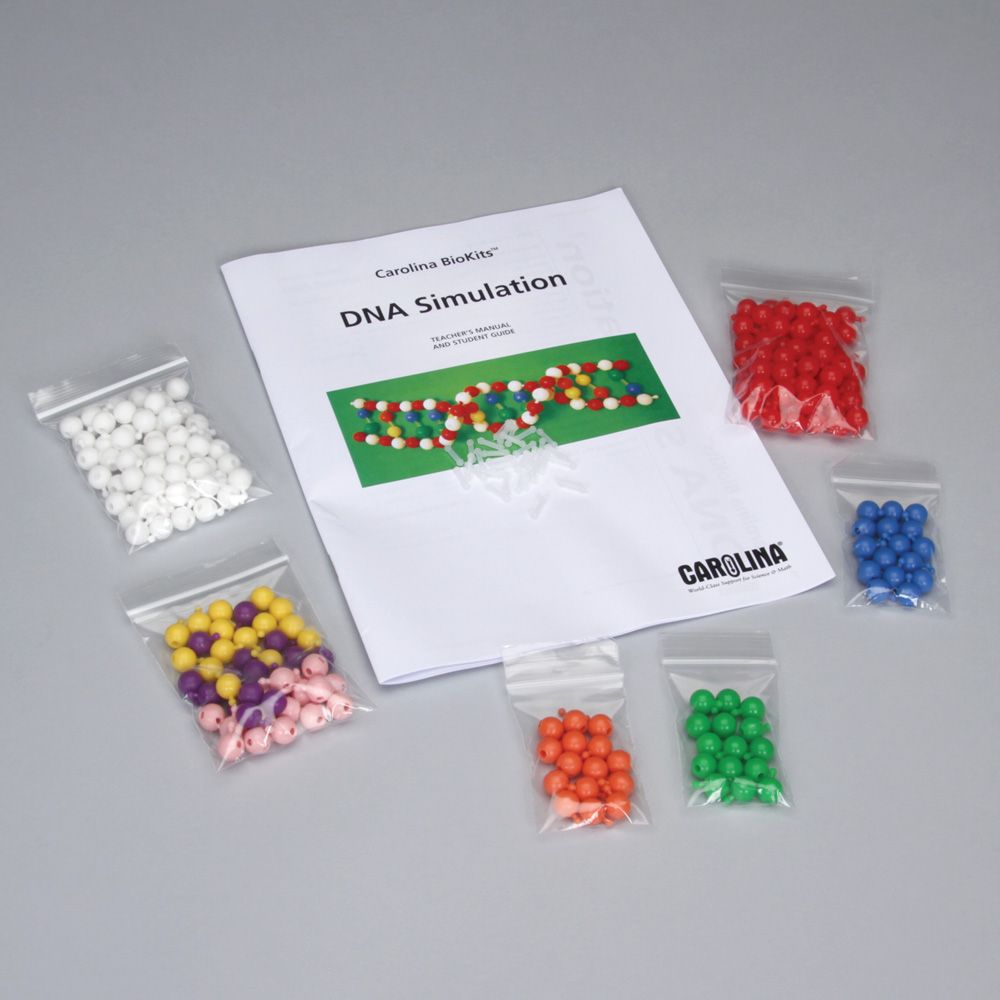 Carolina BioKits®: DNA Simulation 1-Station | Carolina.com