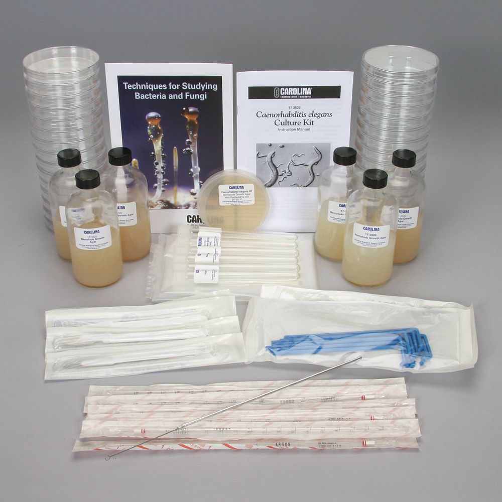 Caenorhabditis elegans Culture Kit (with perishables) | Carolina.com