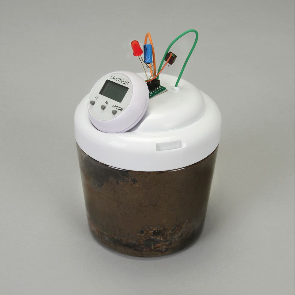 MudWatt® Microbe Kit | Carolina.com