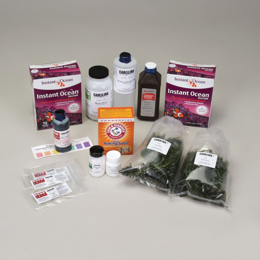 Carolina Investigations® for AP® Environmental Science: Ocean ...