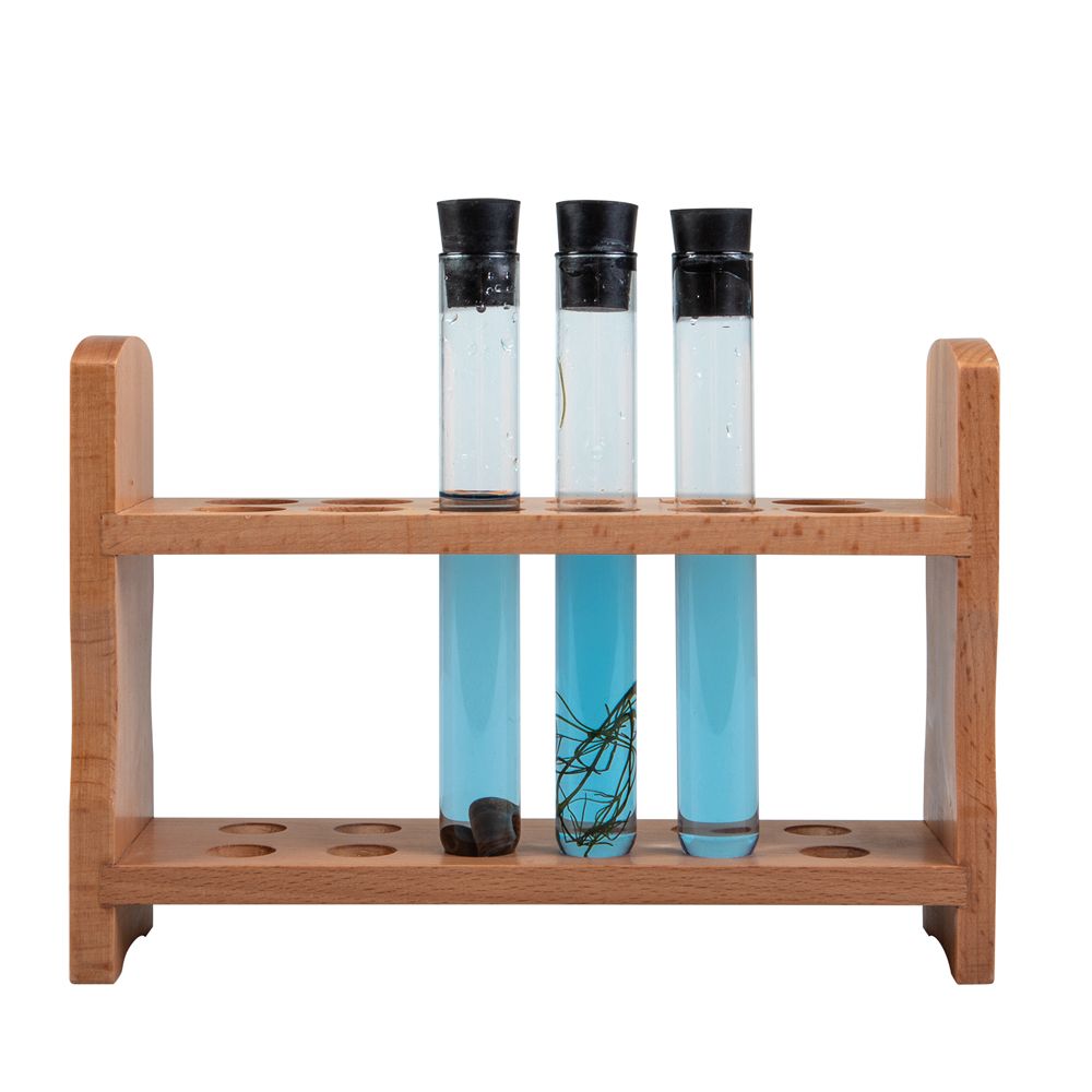 Matter Cycling and Energy Transfer in Lake Ecosystems Kit (with voucher ...