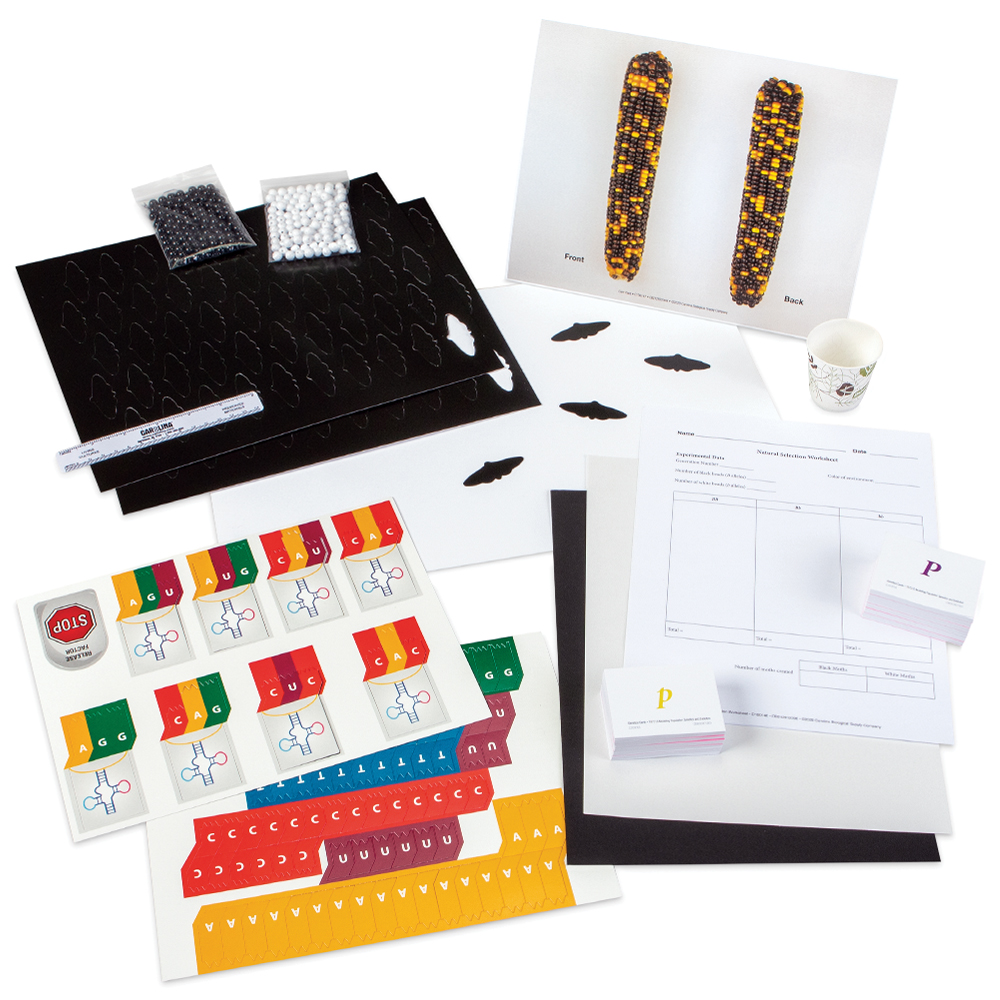 Carolina Kits 3D® Flex Biological Evolution Teacher Unit | Carolina ...