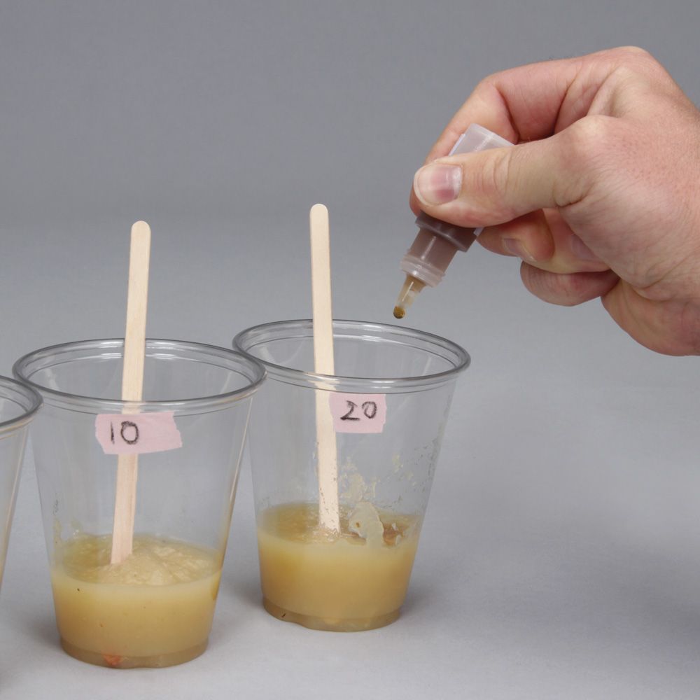 Carolina BioKits®: Exploring with Pectinase: An Introduction to Enzymes ...