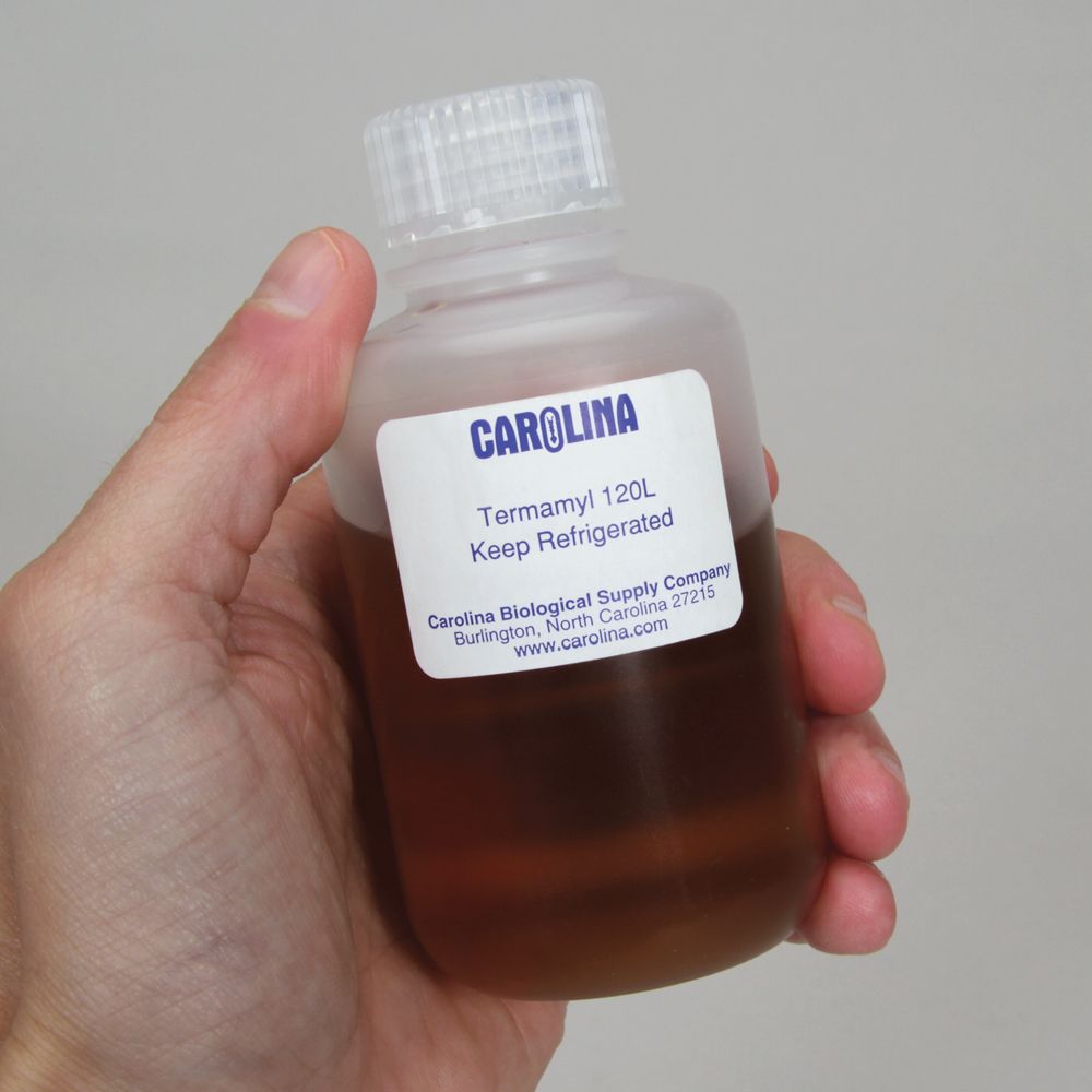 Termamyl | Carolina Biological Supply